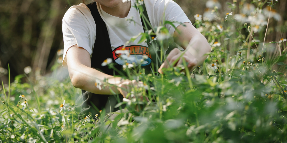 A Step-By-Step Guide to Pinching Flowers for Bigger and Better Blooms ...