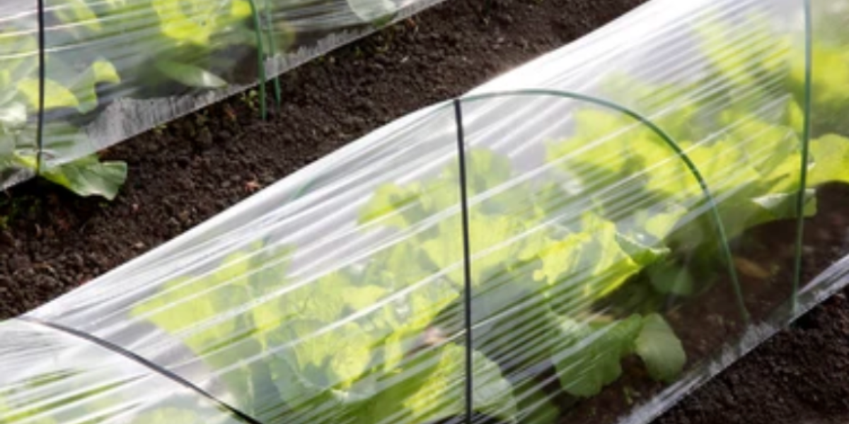 Protect Your Plants: A Beginner's Guide to Using Floating Row Cover ...