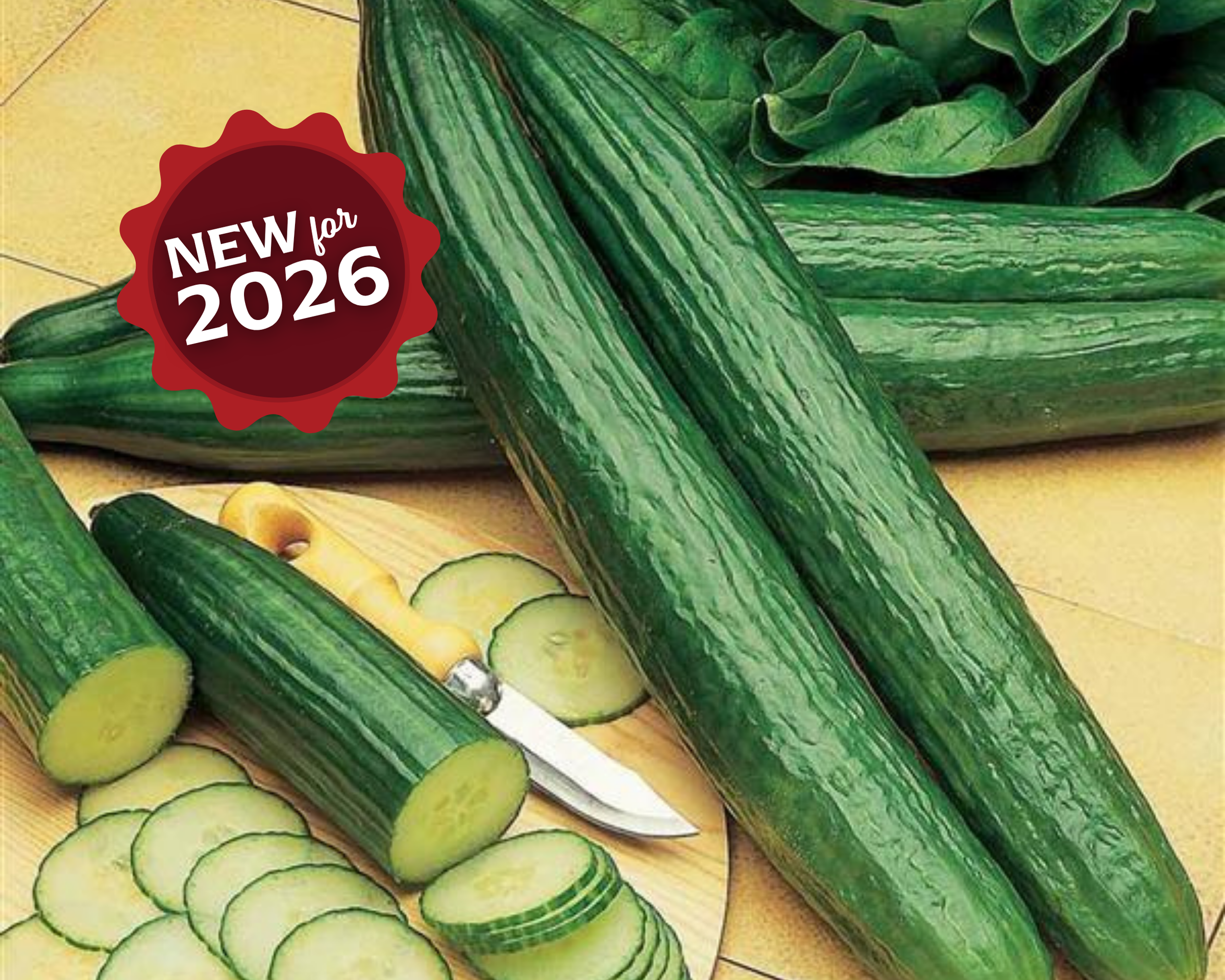Telegraph Improved Cucumber Seeds — Seeds 'n Such