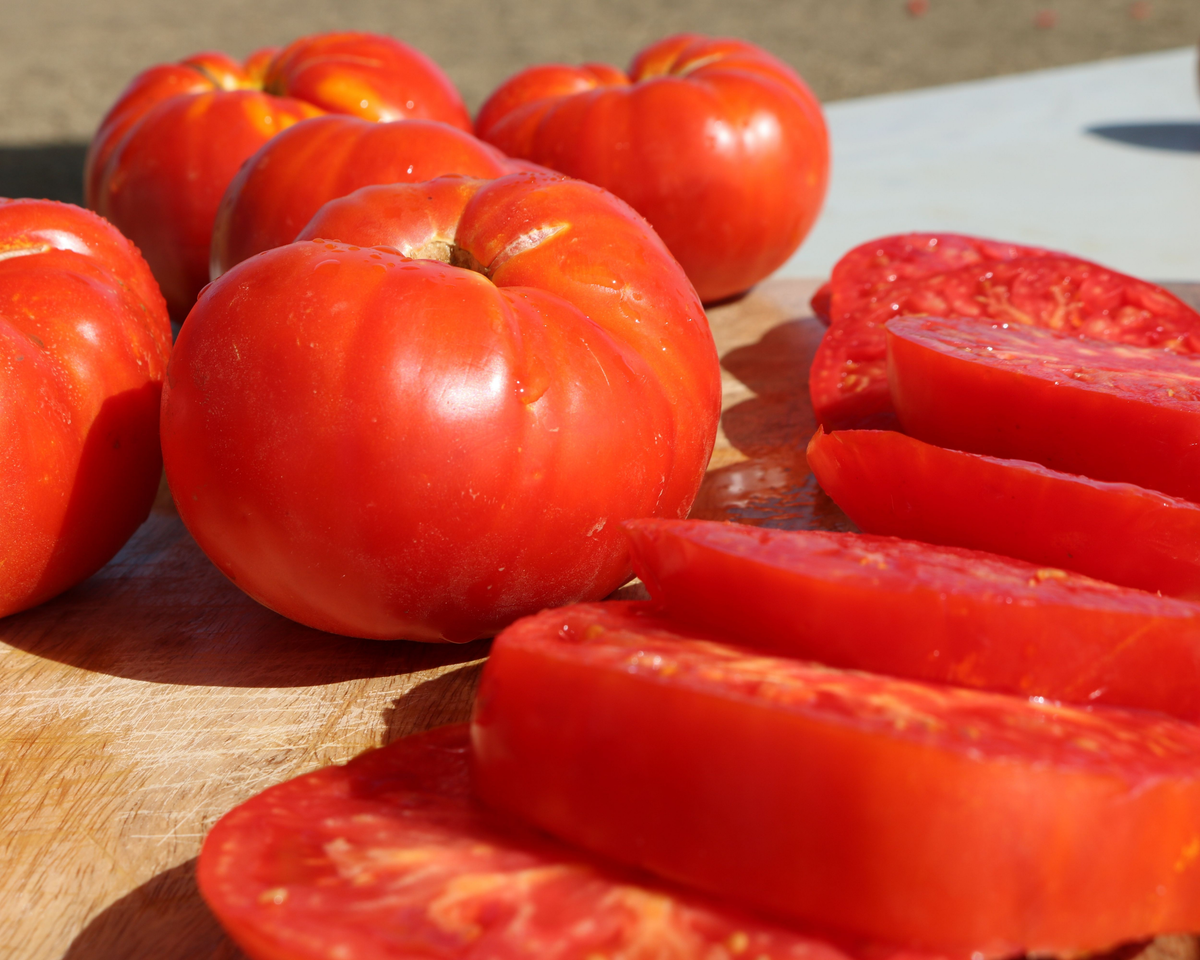 Beefmaster Hybrid Beefsteak VFNASt Tomato Seeds — Seeds 'n Such