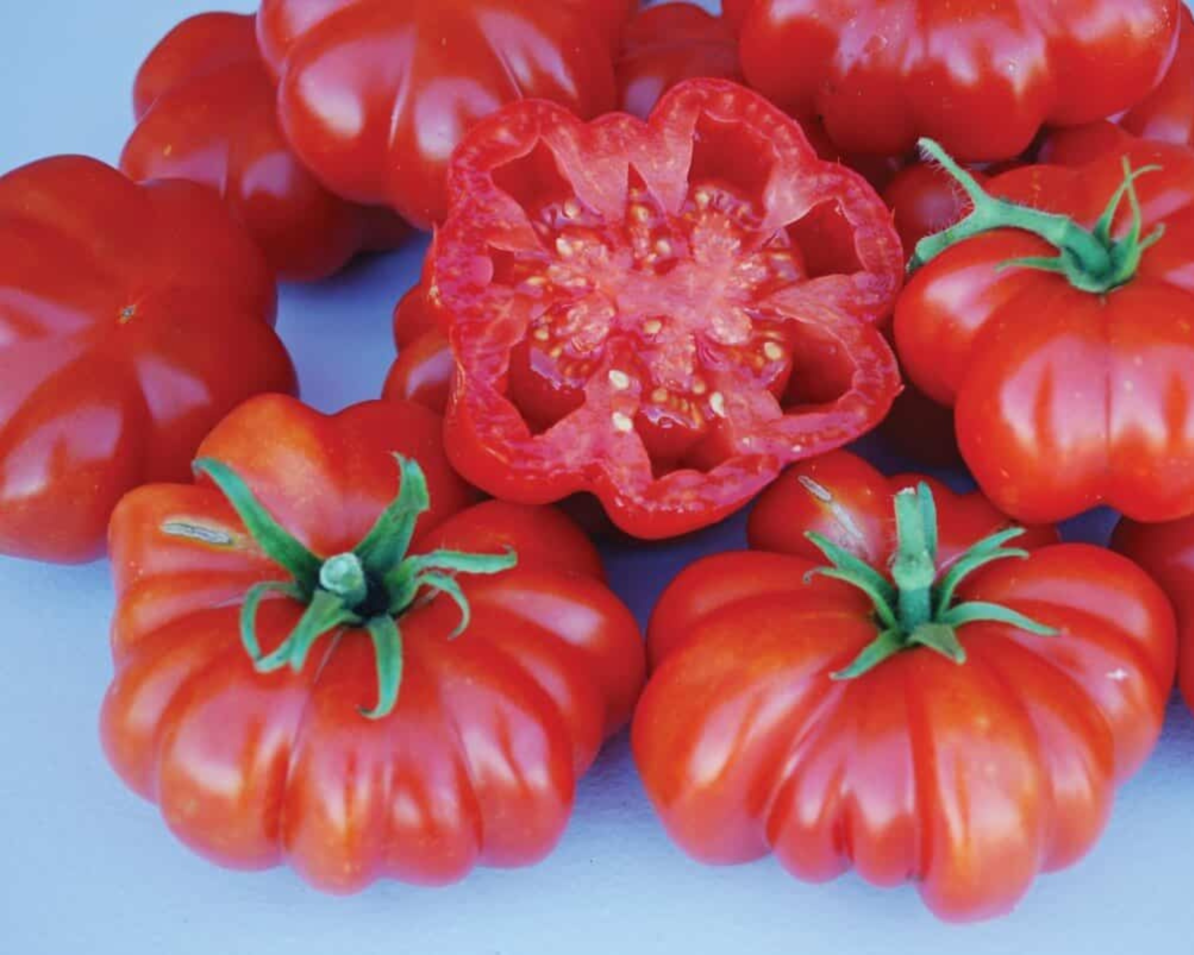 Bulk: Rosso Sicilian Tomato Seeds — Seeds 'n Such