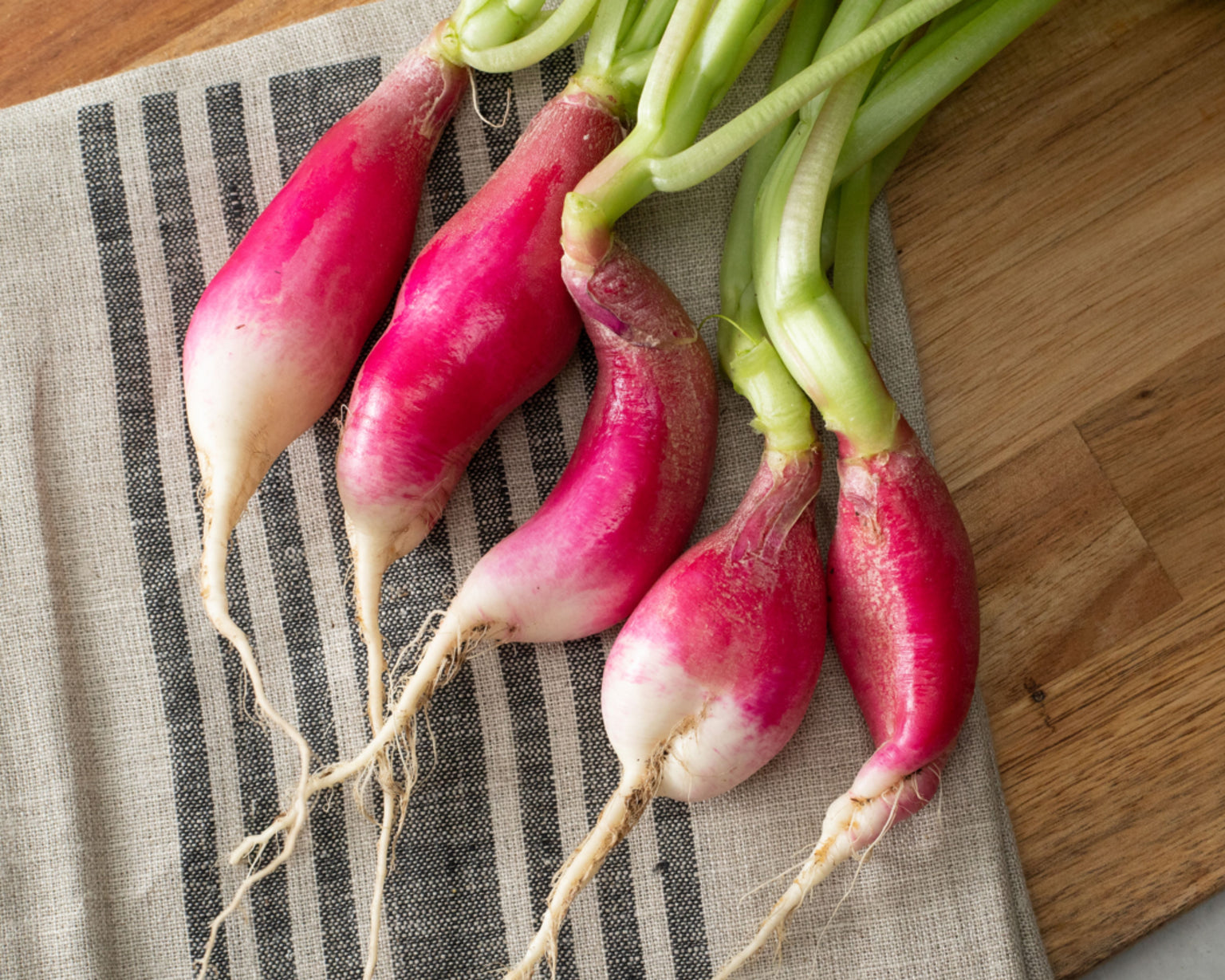 Seed Tape & Seed Discs — Seeds 'n Such