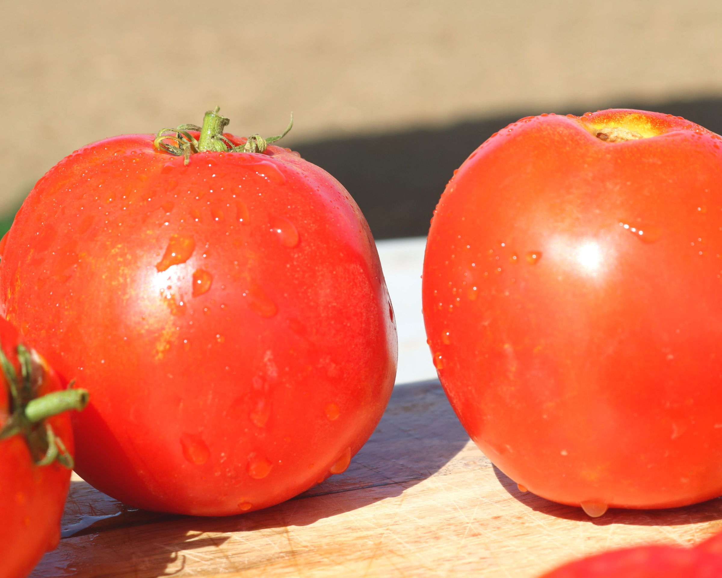 Bulk: Husky Red Hybrid Tomato Seeds — Seeds 'n Such