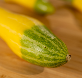 Zephyr Hybrid Summer Squash Seeds — Seeds 'n Such