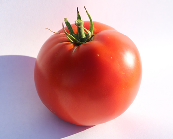 Big Beef Plus Hybrid Beefsteak VFFNTASt Tomato Seeds — Seeds 'n Such