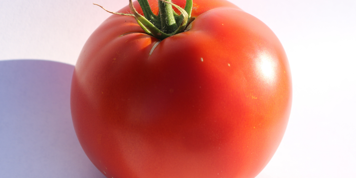 Big Beef Plus Hybrid Beefsteak VFFNTASt Tomato Seeds — Seeds 'n Such