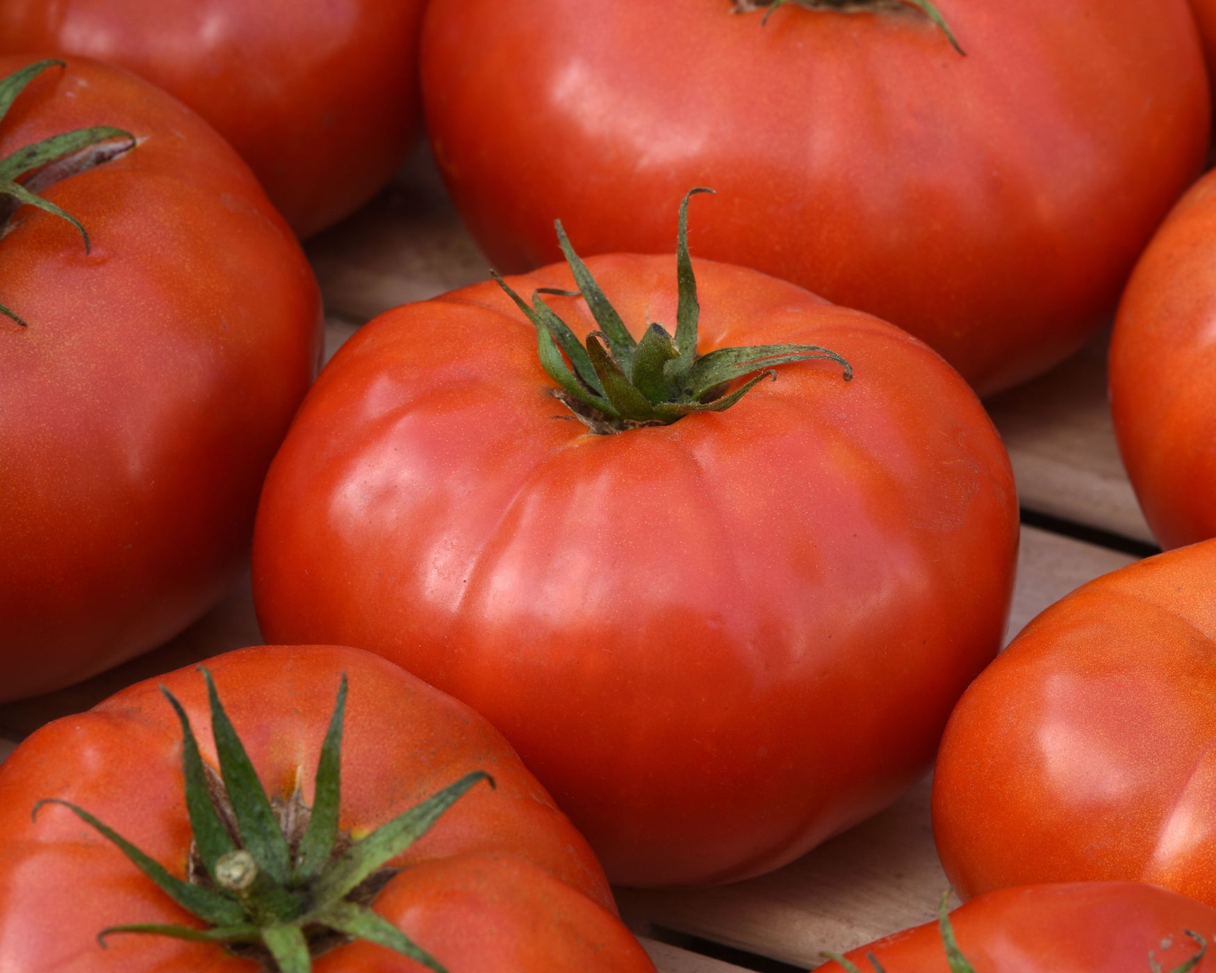 Wonderstar Red Hybrid Tomato Seeds — Seeds 'n Such