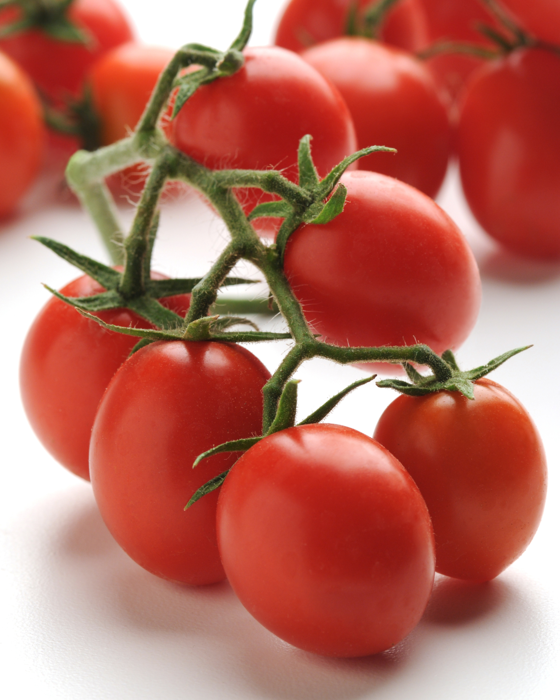 Topsy Tom Hybrid Tomato Seeds — Seeds 'n Such