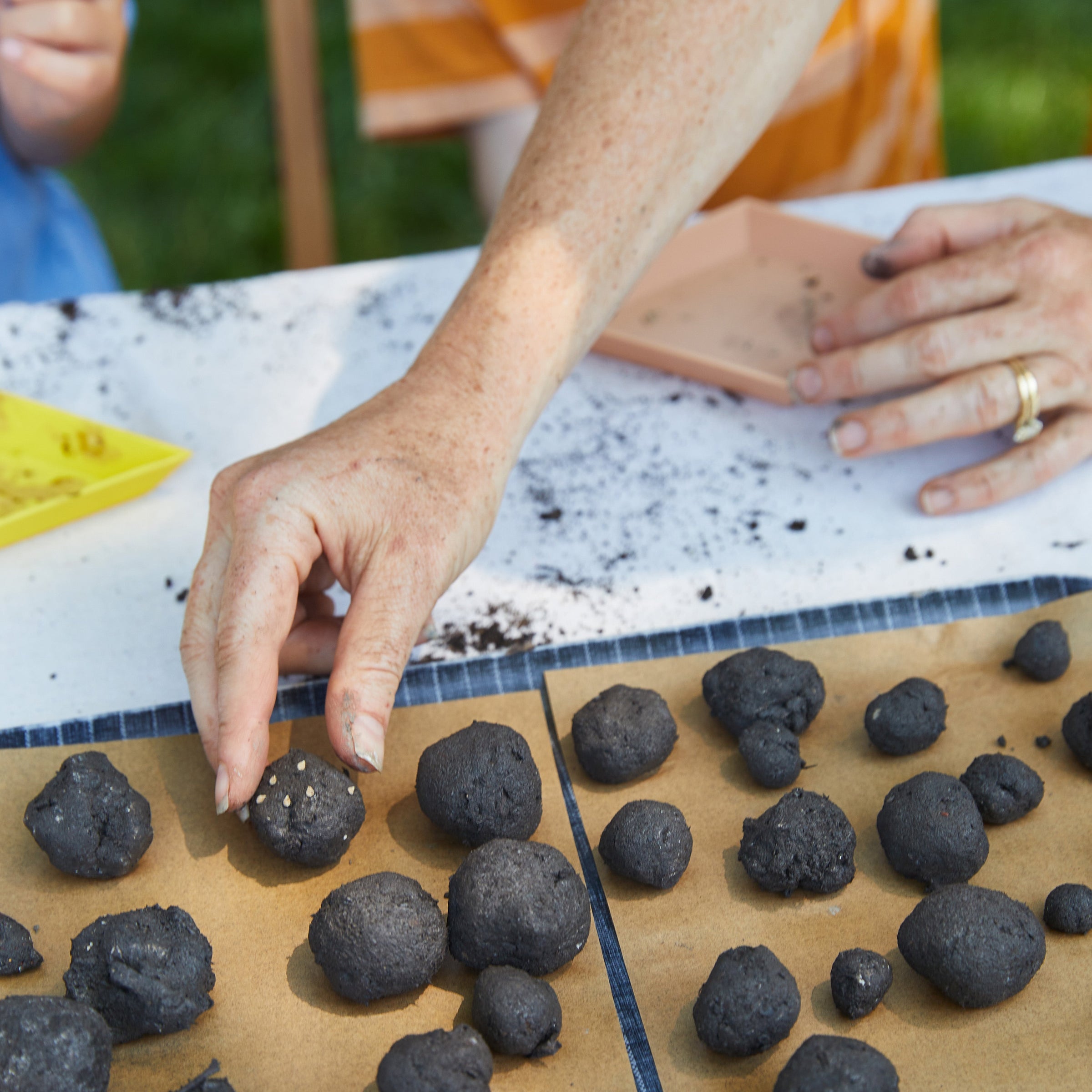 Seed Ball Kits — Seeds 'n Such