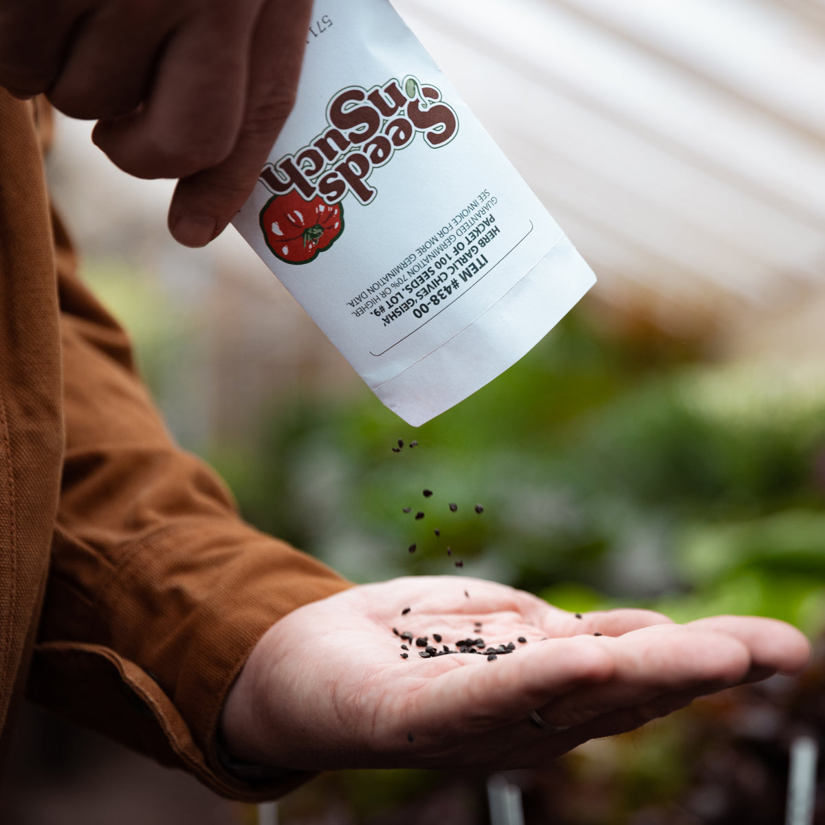 The Fall Collection — Seeds 'n Such