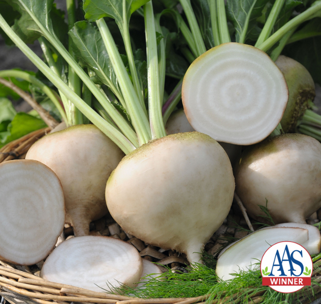 Avalanche Beet Seeds — Seeds 'n Such