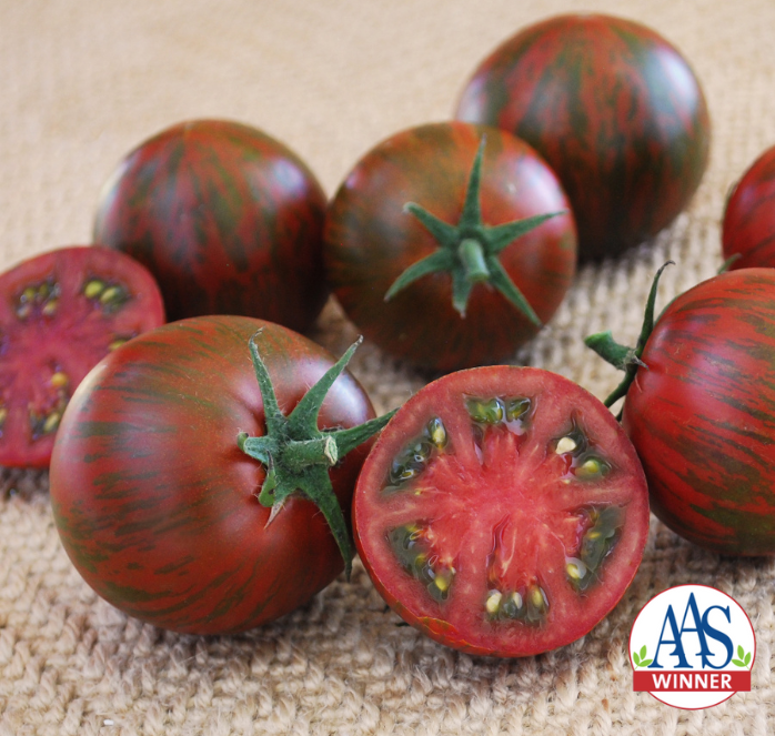 Purple Zebra Hybrid Tomato Seeds — Seeds 'n Such