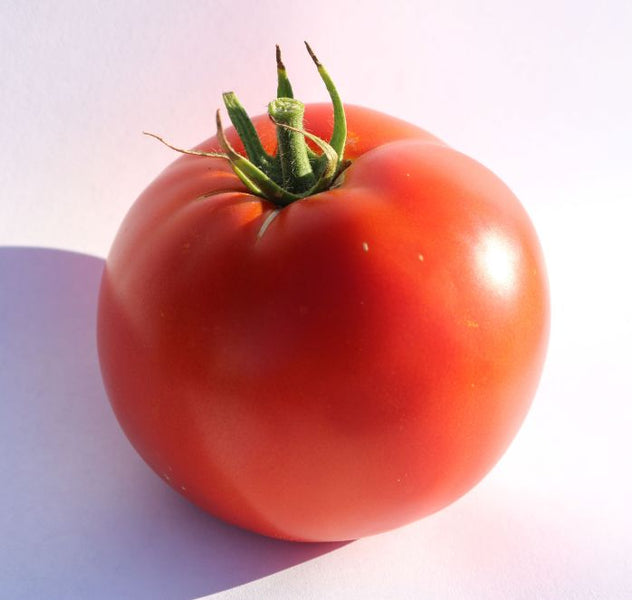 Big Beef Plus Hybrid Tomato Seeds — Seeds 'n Such