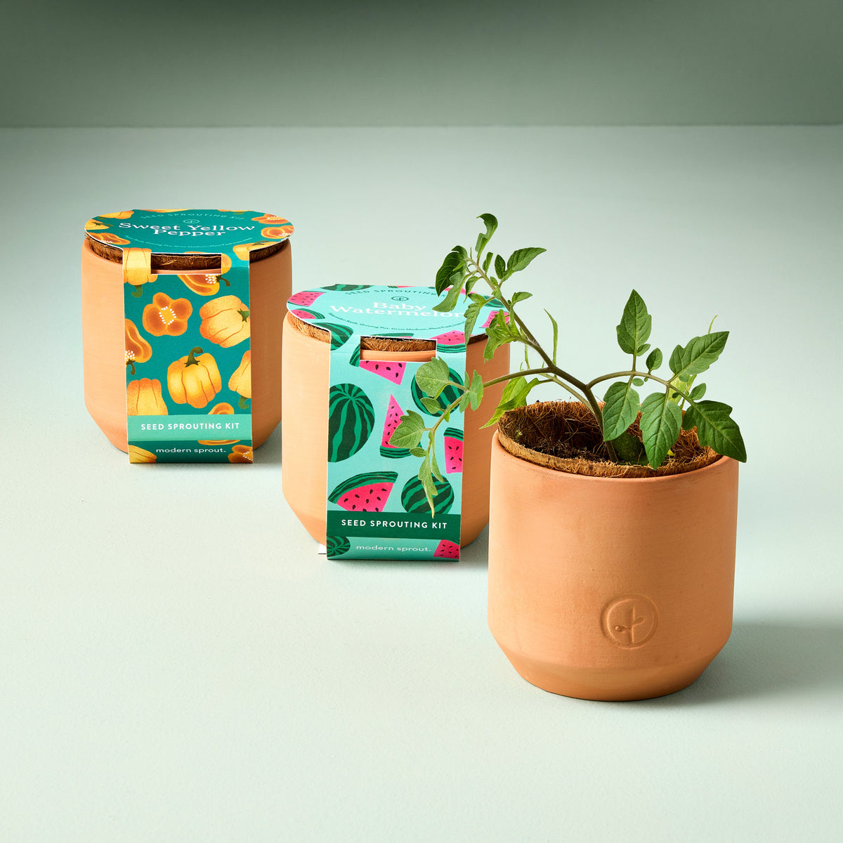 Tiny Terracotta Garden Kits — Seeds 'n Such