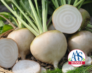 Avalanche Beet Seeds — Seeds 'n Such