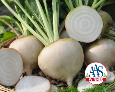 Avalanche Beet Seeds — Seeds 'n Such