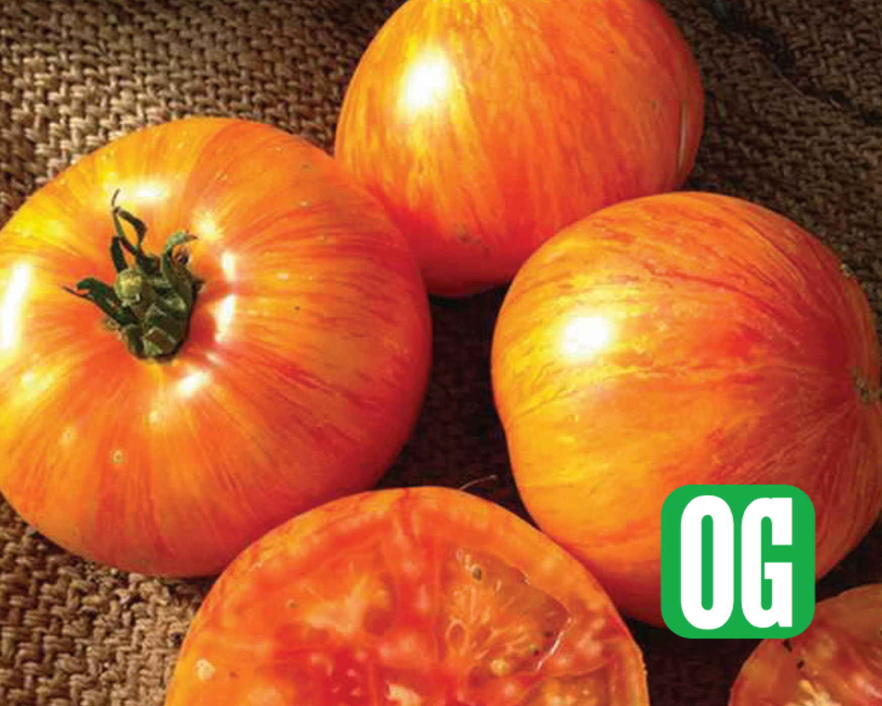 Bulk: Beauty King Tomato Seeds — Seeds 'n Such