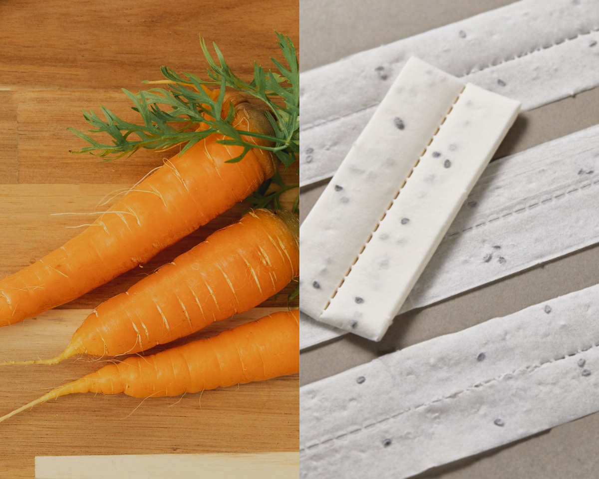Nantes or Coreless Carrot Seed Tape Seeds — Seeds 'n Such