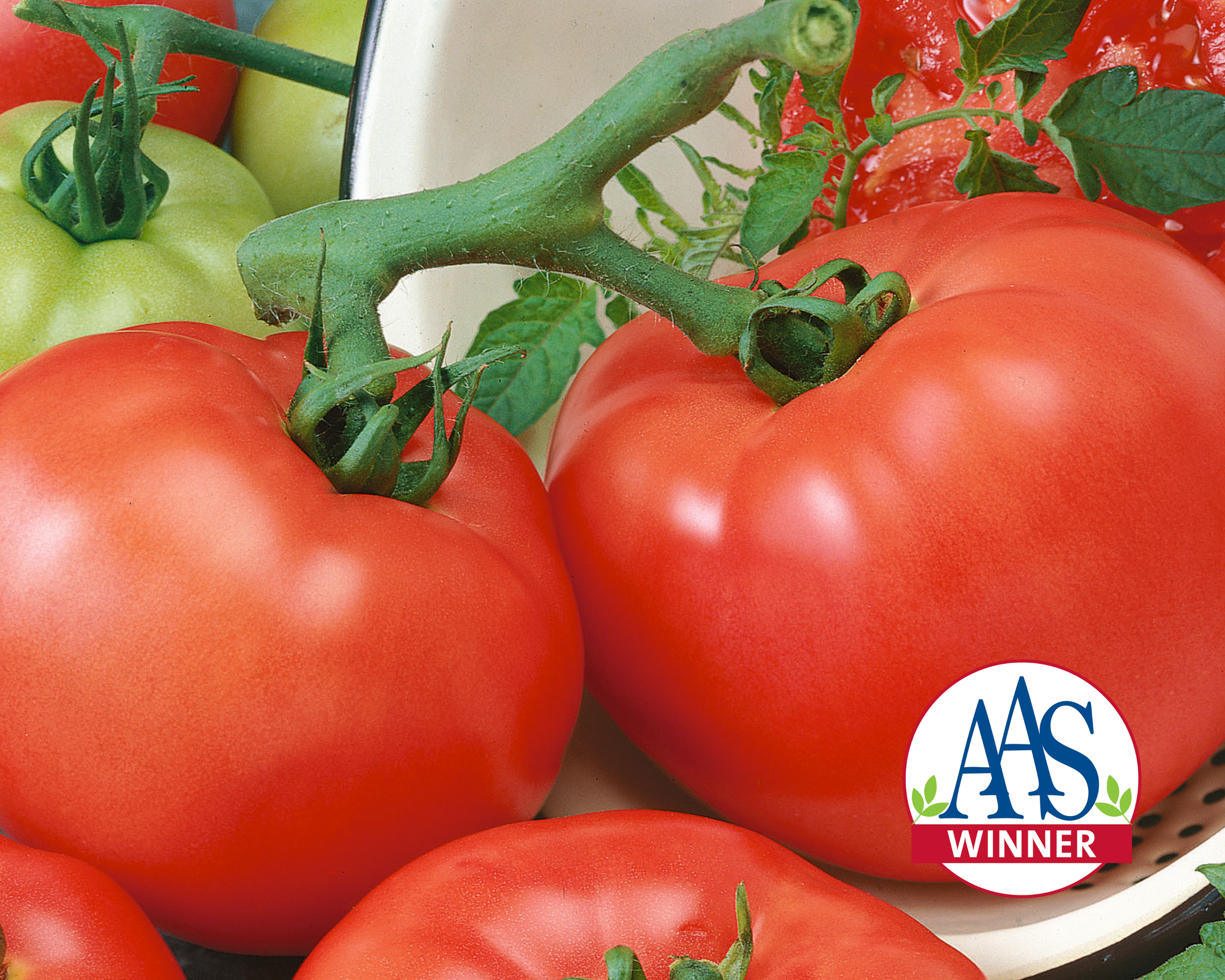 Bulk: Chef's™ Choice Red Hybrid Tomato Seeds — Seeds 'n Such