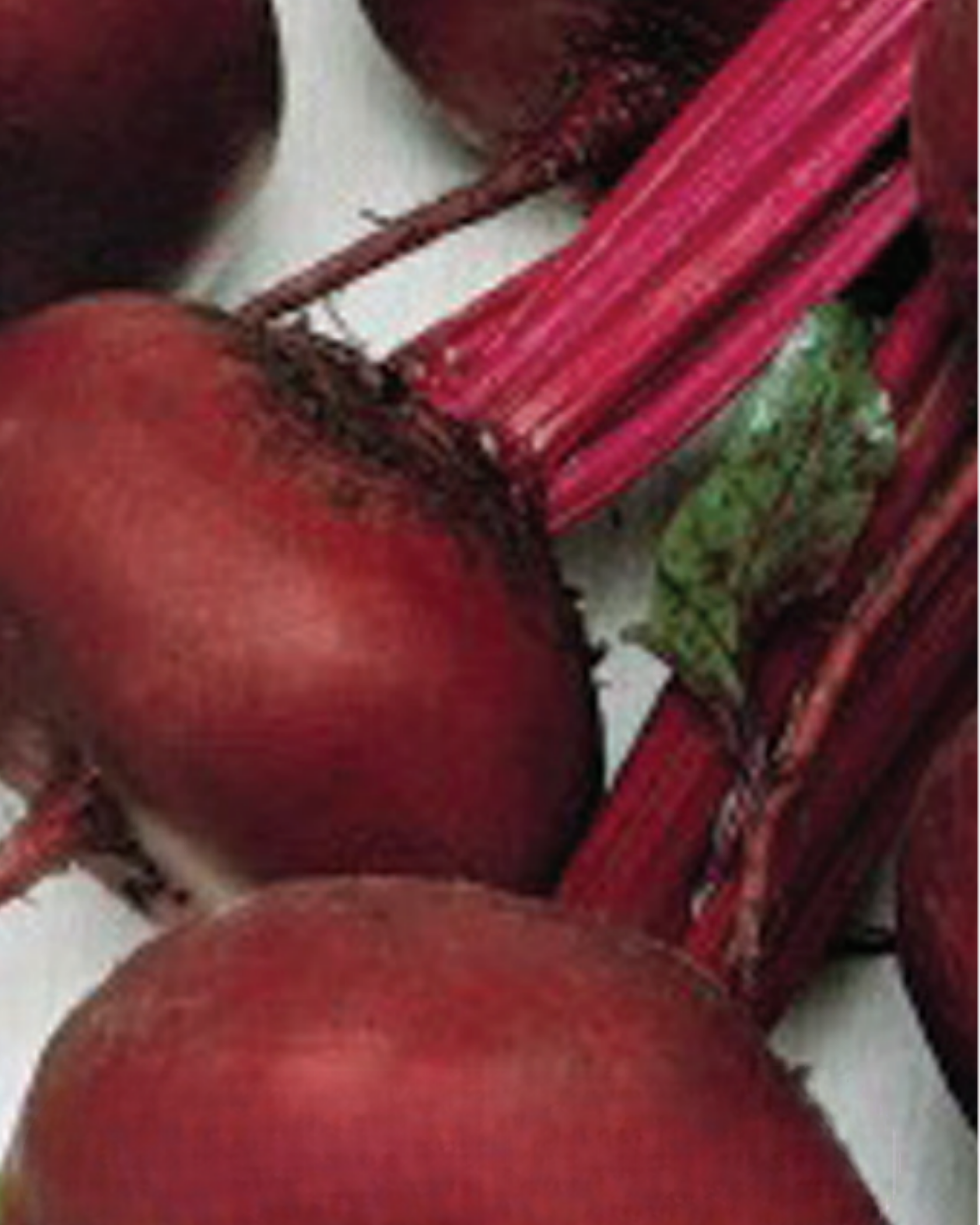 Bulk: Crosby's Egyptian Beet Seeds — Seeds 'n Such