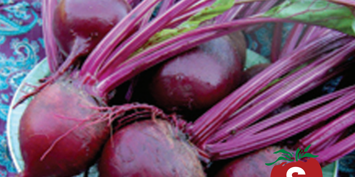Detroit Dark Red Beet Seeds — Seeds 'n Such