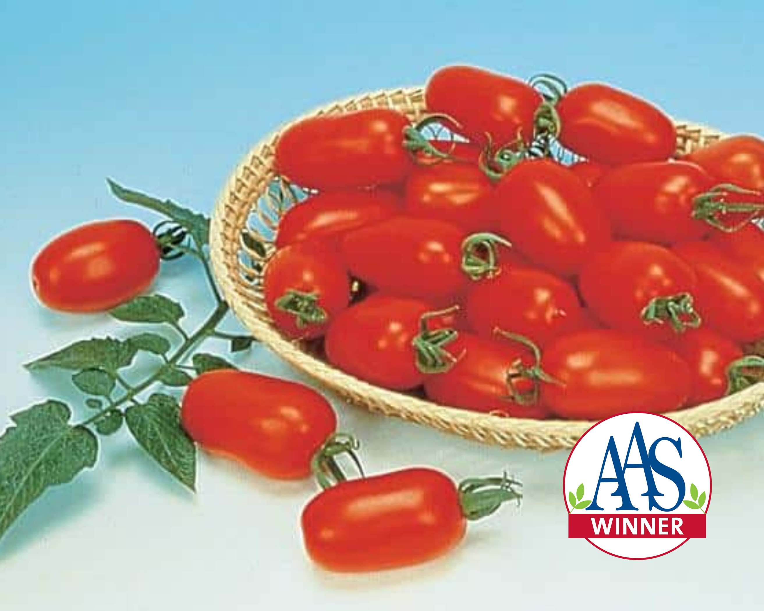 Juliet Hybrid Tomato Seeds — Seeds 'n Such