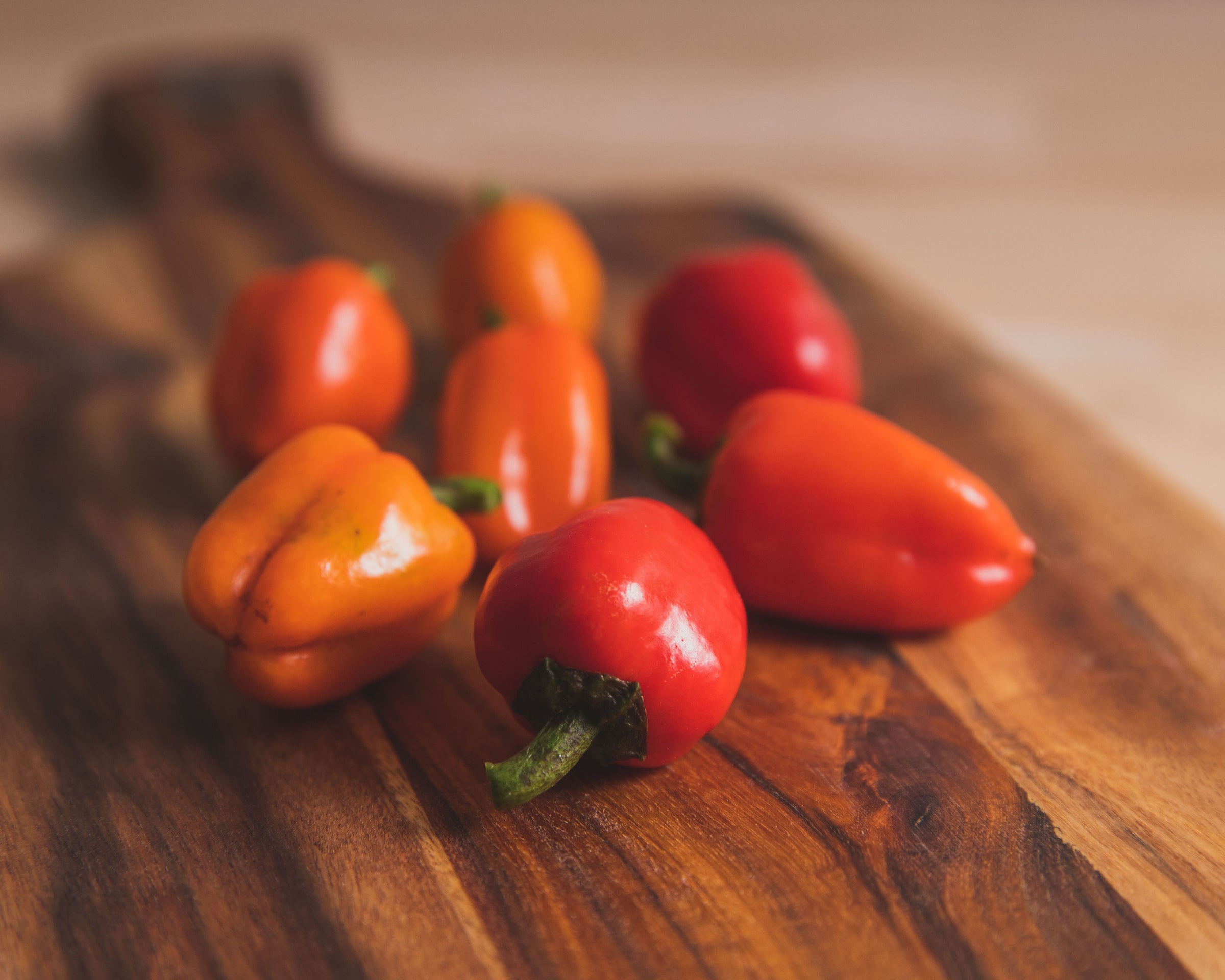 Mini Belle Mix Pepper Seeds — Seeds 'n Such