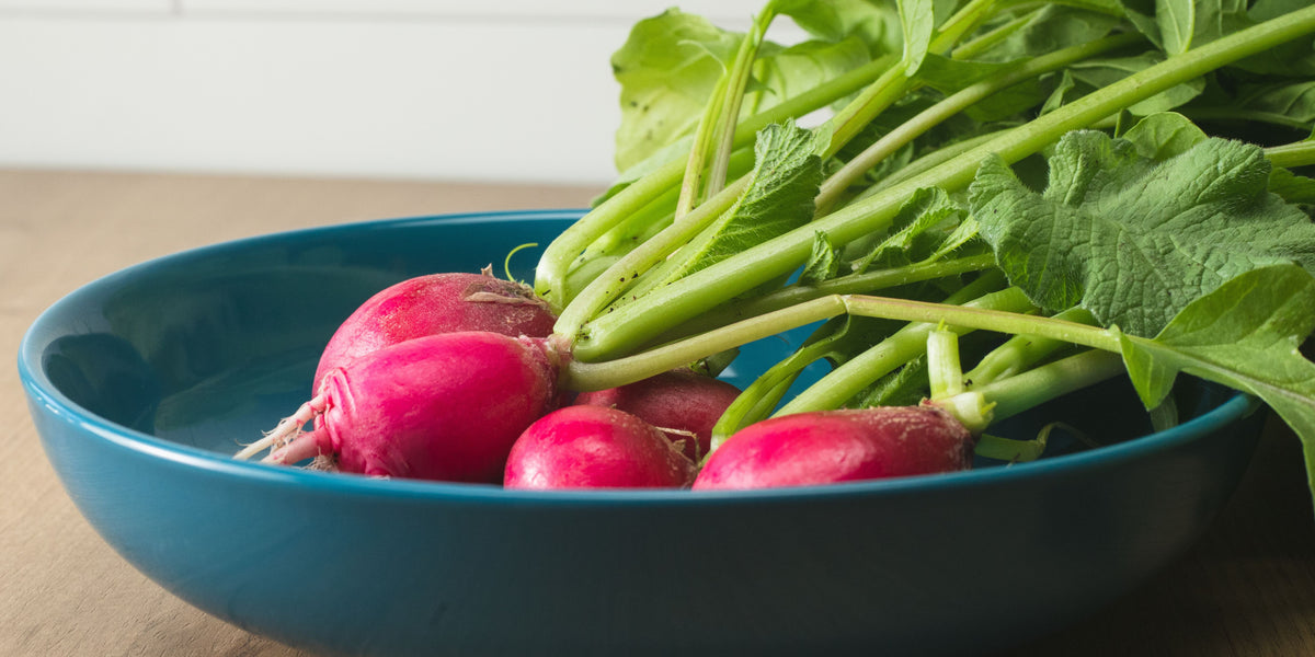 German Giant Radish Seeds — Seeds 'n Such