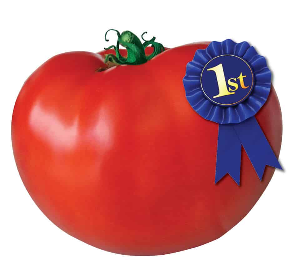 Original Blue Ribbon Hybrid Tomato Seeds — Seeds 'n Such