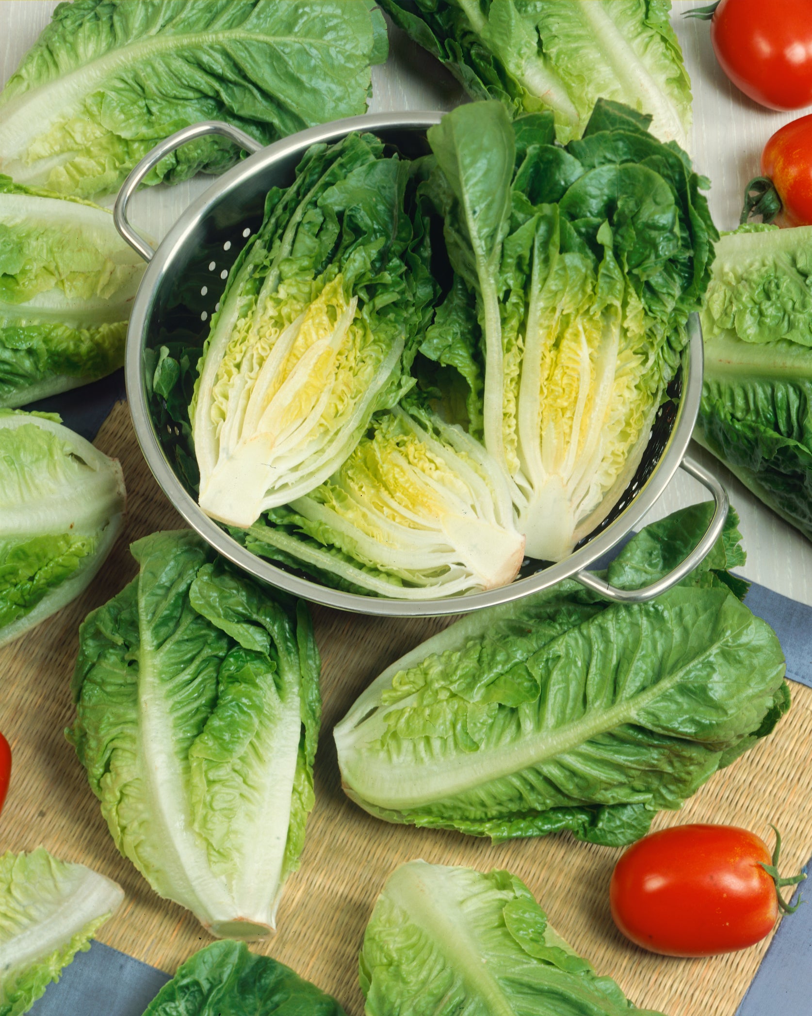 Lettuce & Mesclun Seeds - Fresh, Crisp Salad Greens — Seeds 'n Such