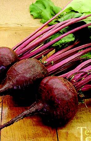 Lutz Green Leaf Beet Seeds — Seeds 'n Such