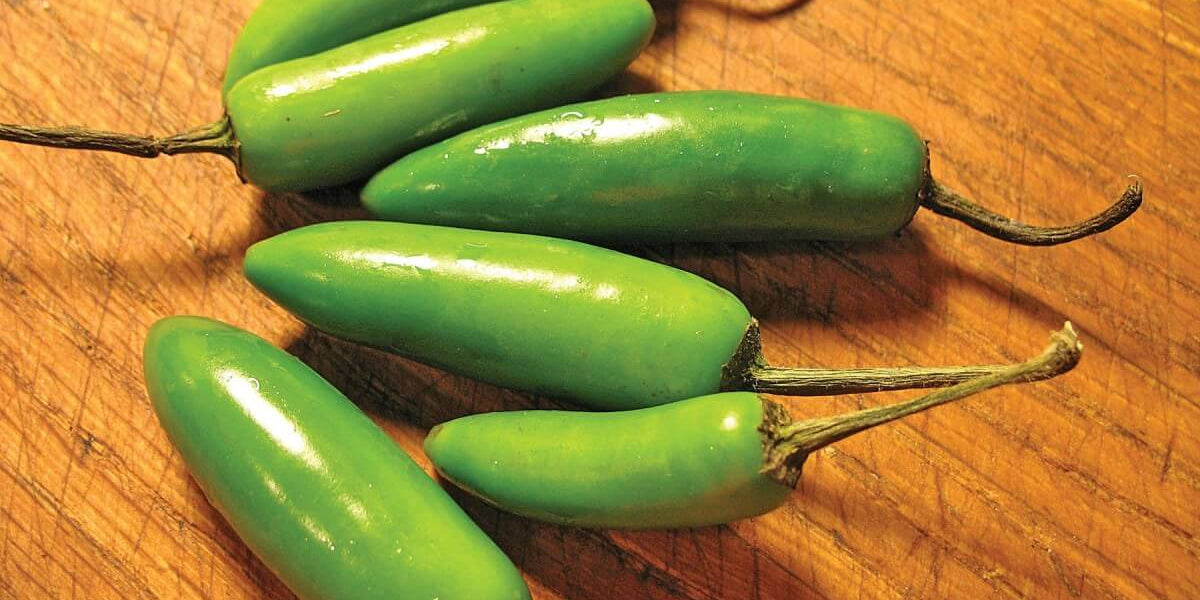 Serrano Chili Hot Pepper Seeds — Seeds 'n Such