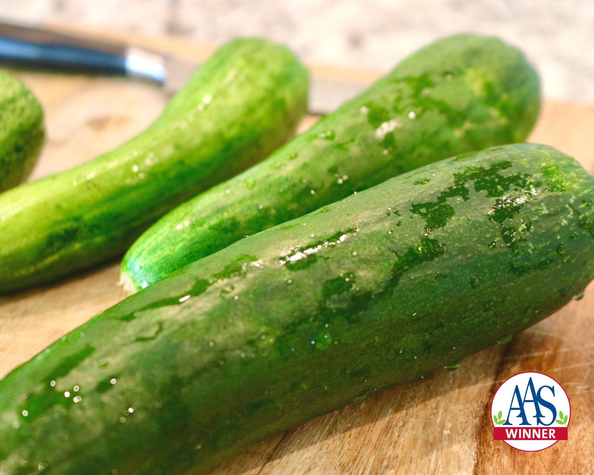 Sweet Success Hybrid Cucumber Seeds — Seeds 'n Such