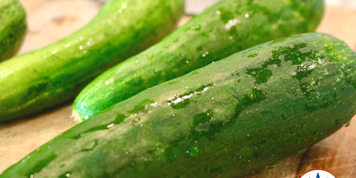 Sweet Success Hybrid Cucumber Seeds — Seeds 'n Such