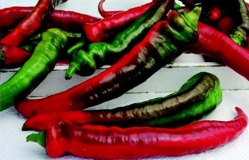 Bulk: Jimmy Nardellos Non-Bell Pepper Seeds — Seeds 'n Such