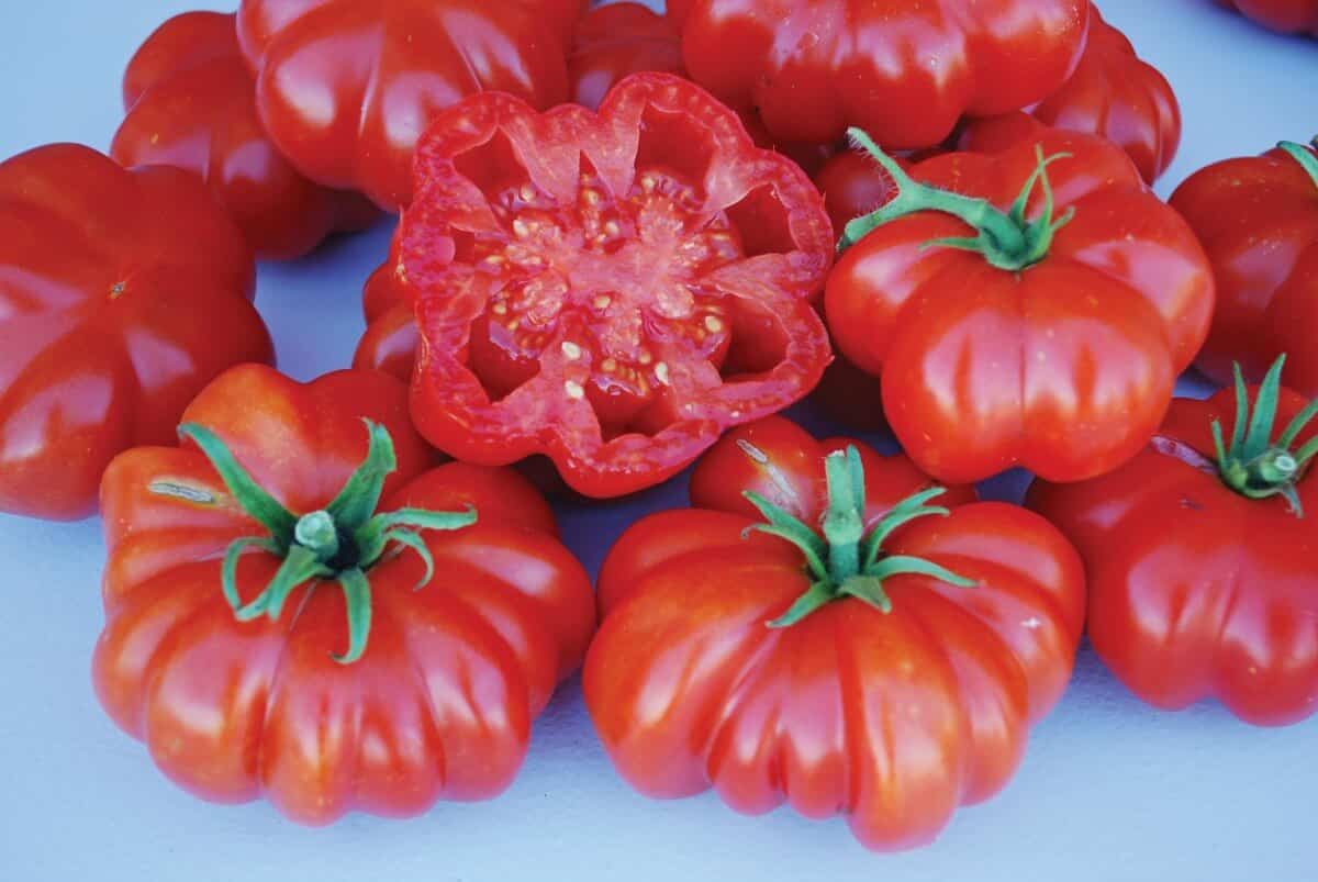 Rosso Sicilian Tomato Seeds — Seeds 'n Such