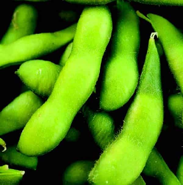 Bulk: Be Sweet Edamame Seeds — Seeds 'n Such