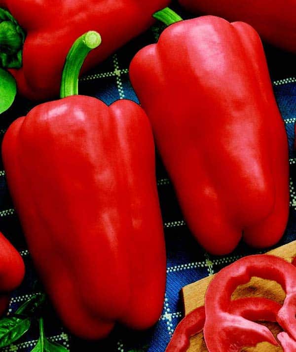 Goliath Sweet Hybrid Pepper Seeds — Seeds 'n Such