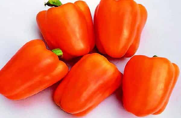 Pepper Due Red Hot Chili Pepper Jack Bothwell Cheese