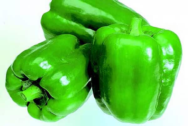 Bulk: New Ace Hybrid Pepper Seeds — Seeds 'n Such