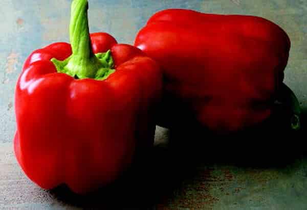 Red Bull Hybrid Pepper Seeds — Seeds 'n Such