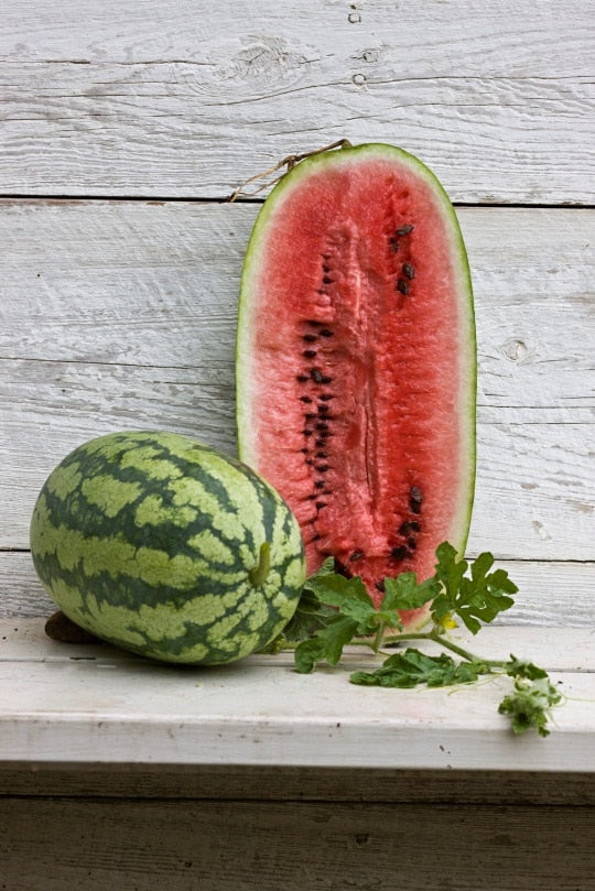 Georgia Rattlesnake Watermelon Seeds — Seeds 'n Such